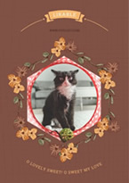 Cat Collage - Design a Photo Cat Collage Online | FotoJet