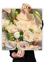 Creative Collage - Boost Your Creativity for Making Collages Online