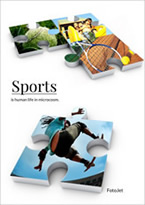 Sports Collage - Create Your Own Sports Photo Collages Online | FotoJet