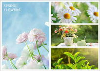 Spring Collage - Make Spring Photo Collages Online | FotoJet