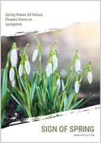 Spring Poster - Make Free Spring Poster Online | FotoJet
