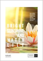 Summer Poster - Make Free Summer Poster Online | FotoJet